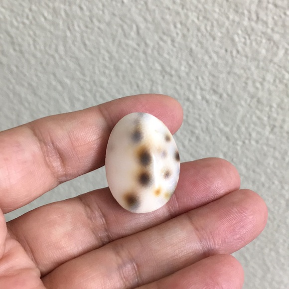 Hand Crafted | Jewelry | Shell Pin | Poshmark